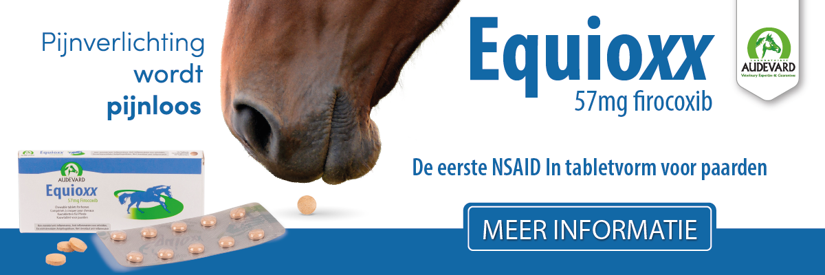 Home [www.grovet.com]